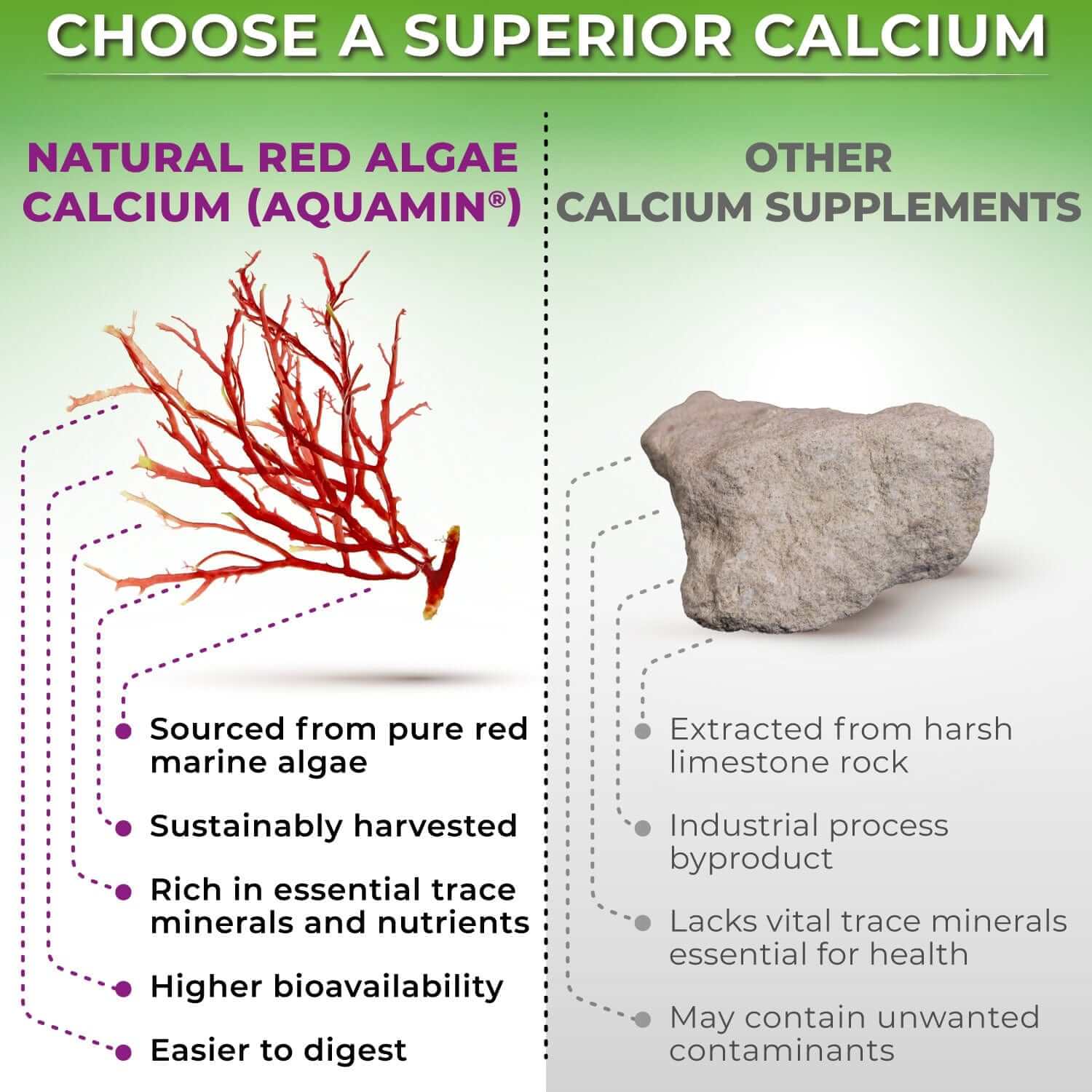 Plant-Based Calcium 500mg | Vegan Bone Strength Supplement